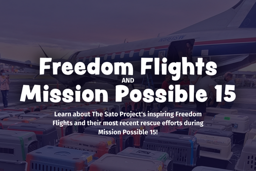 Freedom Flights & Mission Possible 15 – HuggleHounds