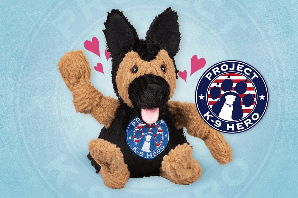 Early 2022 HuggleCause™ Initiative: Project K-9 Hero – HuggleHounds