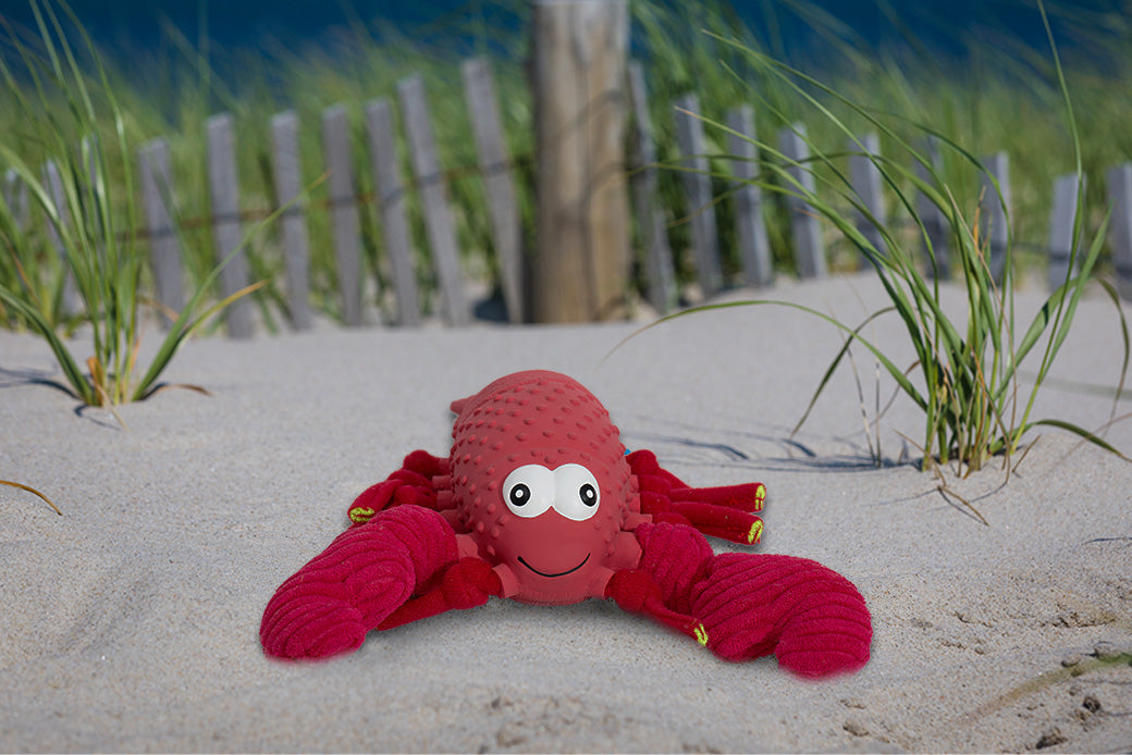 Introducing Huggle-Fusion™ Toys! | HuggleHounds®