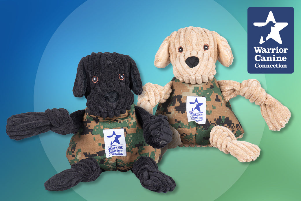 Introducing Warrior Canine Connection – HuggleHounds